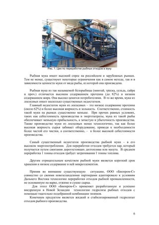 Fish silage project | PDF