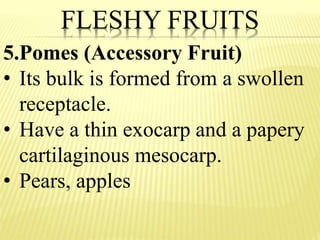 Pomes Fruit Classification