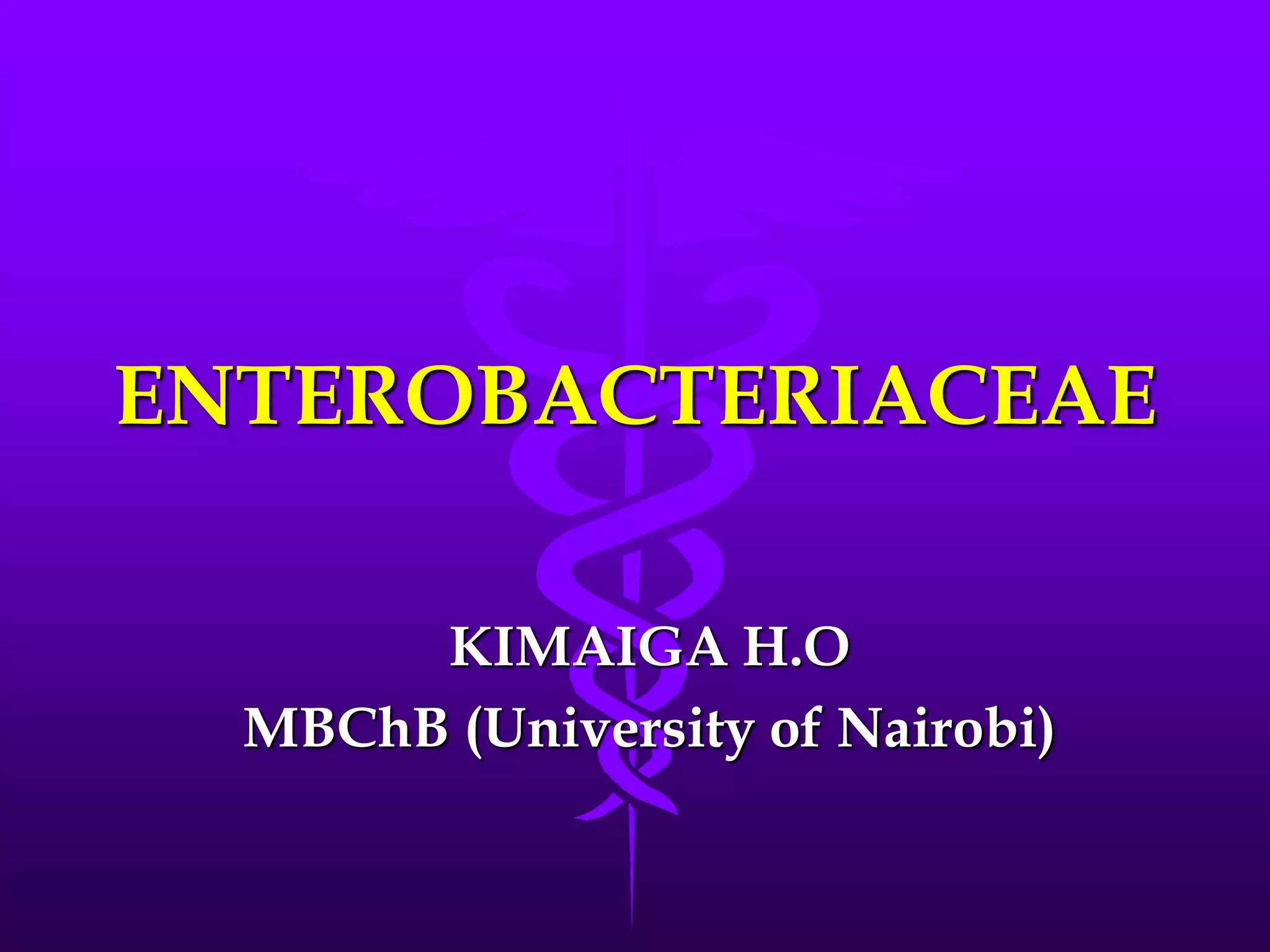 16. enterobacteriaceae | PPTX