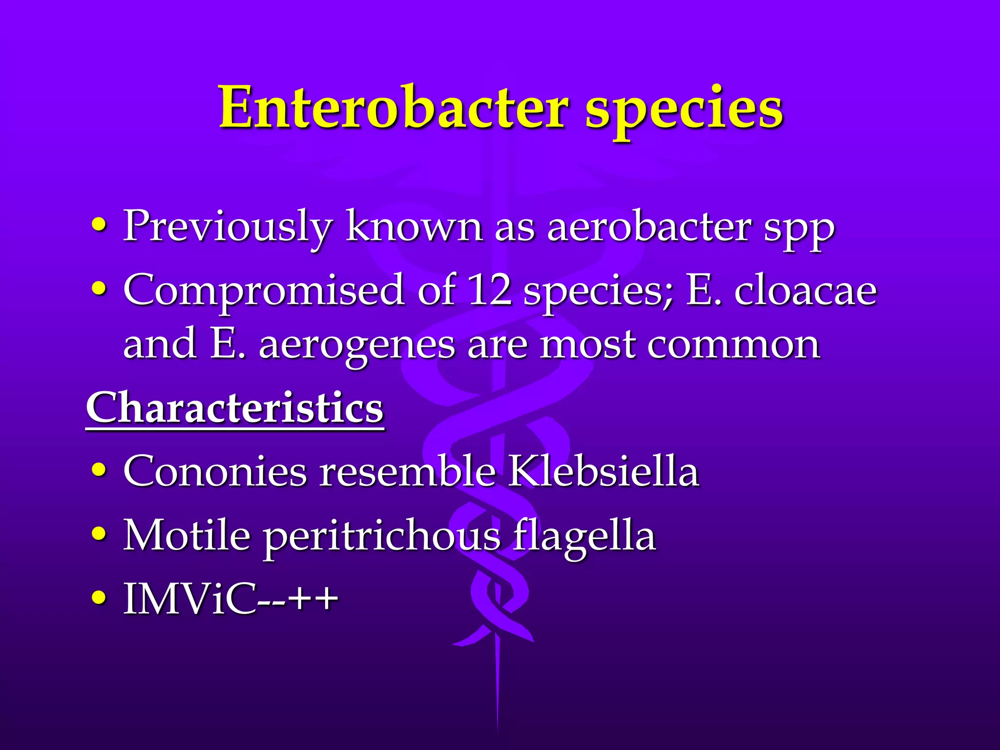 16. enterobacteriaceae | PPTX