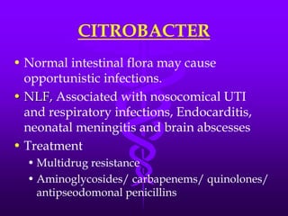 16. enterobacteriaceae | PPTX