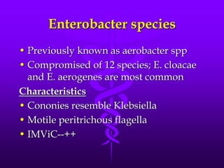16. enterobacteriaceae | PPTX