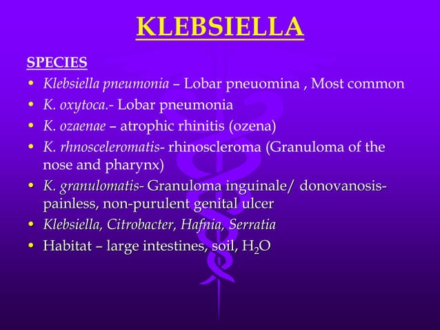 16. enterobacteriaceae | PPTX