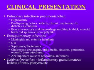 16. enterobacteriaceae | PPTX