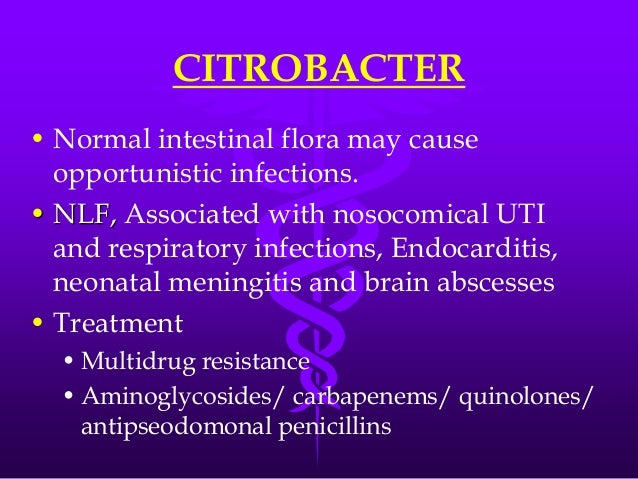 Enterobacteriaceae Infections Enterobacterial Infections