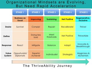 Introducing ThriveAbility: A Thorough Roadmap for Maximizing ...
