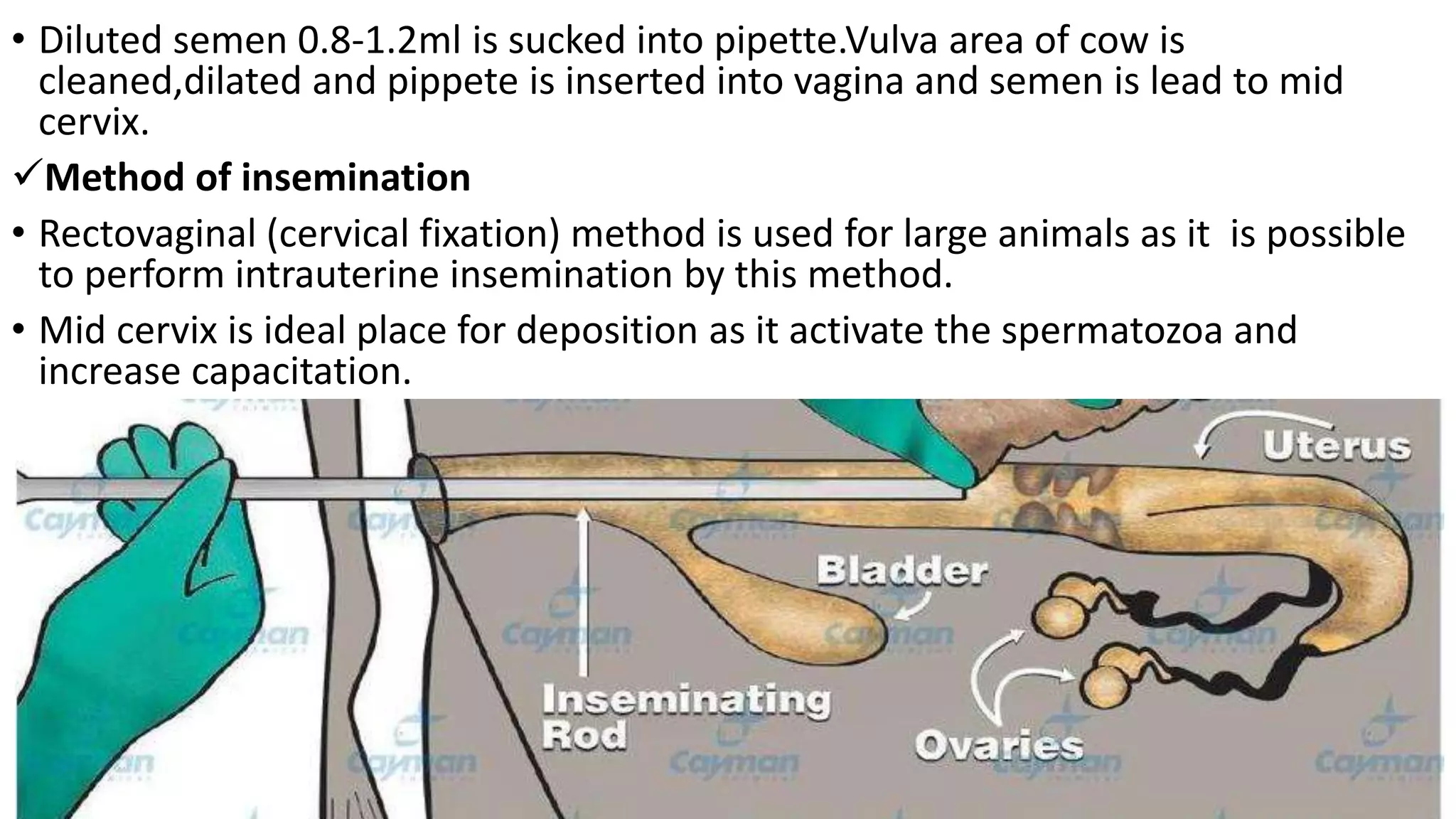 Artificial insemination | PPTX