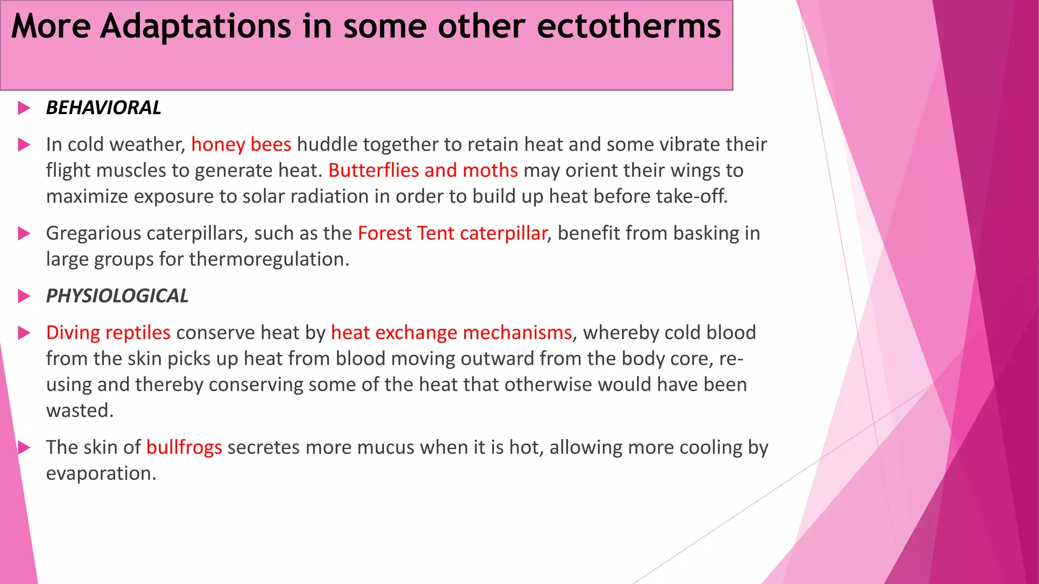 Temperature regulation in ectotherms | PPTX