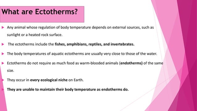 Temperature regulation in ectotherms | PPTX | Zoos & Aquariums ...