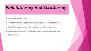 Temperature regulation in ectotherms | PPTX