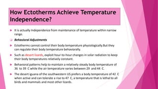 Temperature regulation in ectotherms | PPTX