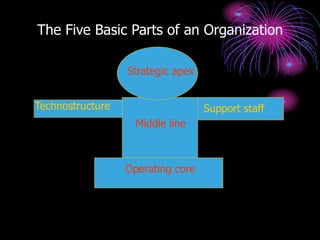 16. theories of organization | PPTX
