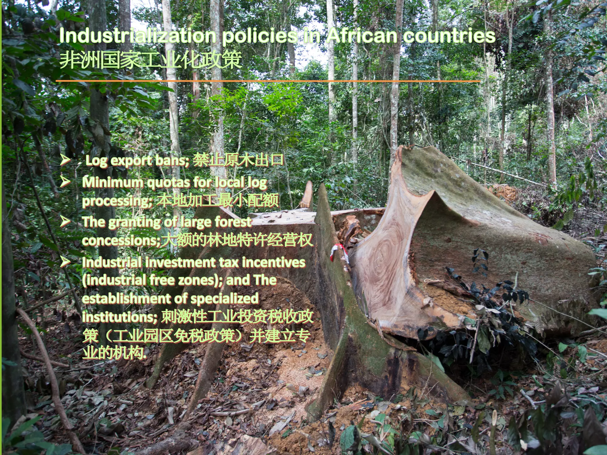 Africa trends of deep processing in timber industry | PPT