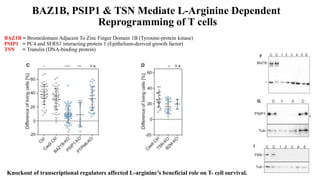 L-arginine modulates T cell metabolism and enhances survival and anti ...