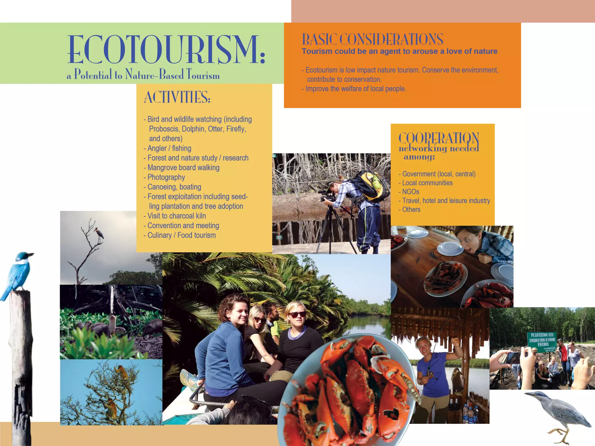 Sustainable mangrove management for multi-use | PDF