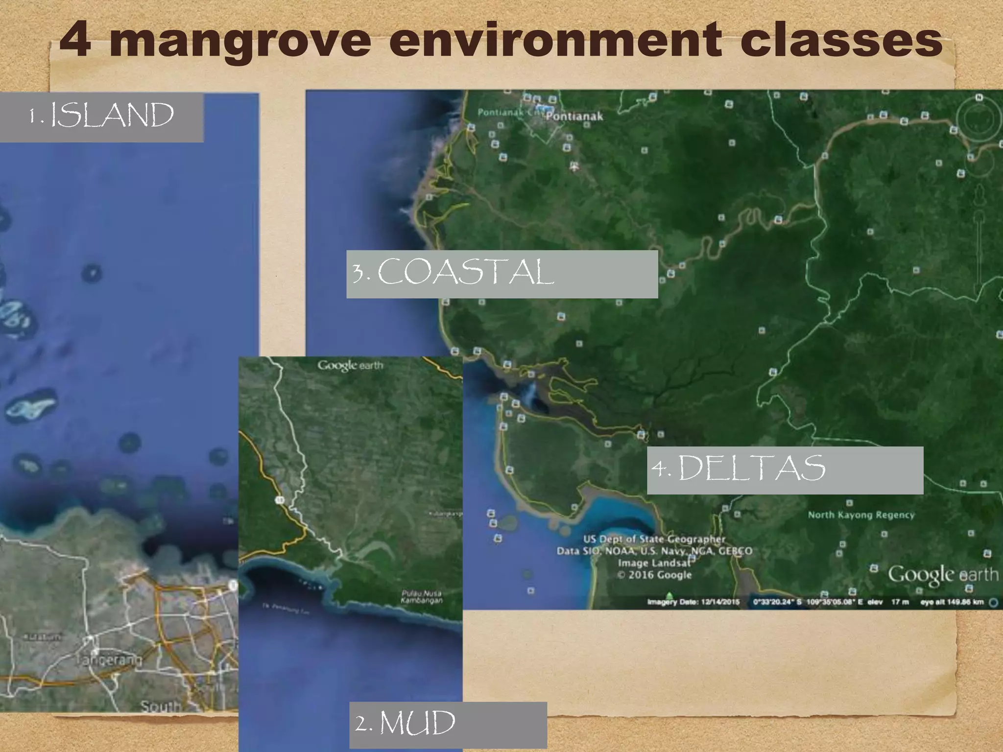 Sustainable mangrove management for multi-use | PDF