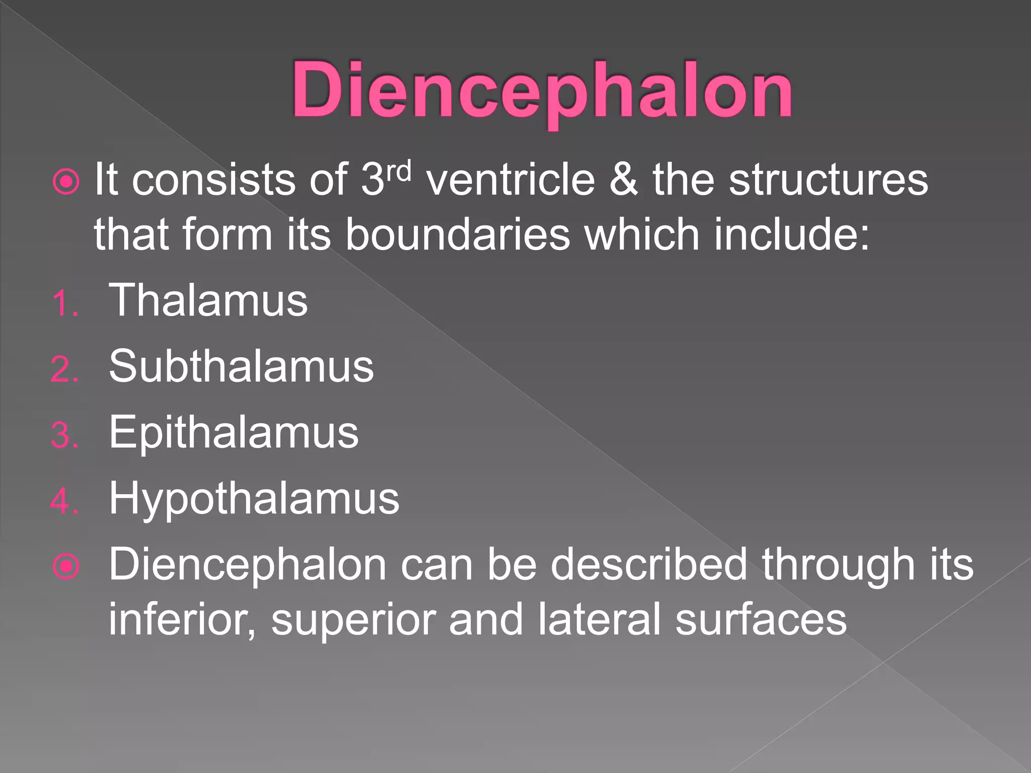 The Cerebrum-I (Diencephalon) | PPTX