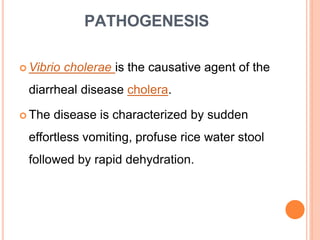 16-190630113629.pptx