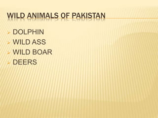 WILD ANIMALS OF PAKISTAN | PPTX