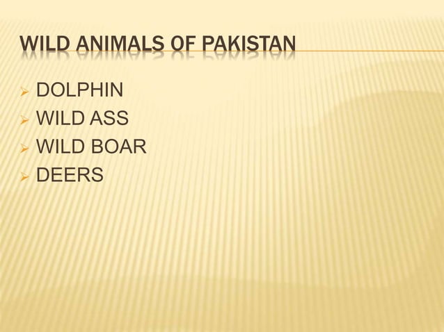 WILD ANIMALS OF PAKISTAN | PPT