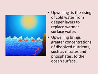 16 1 Powerpoint | PPTX | Geography | Science