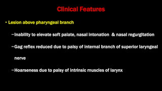 Vocal cord paralysis and evaluation of hoarseness | PPTX