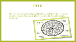 Timber | PDF | Woodworking | Arts and Crafts