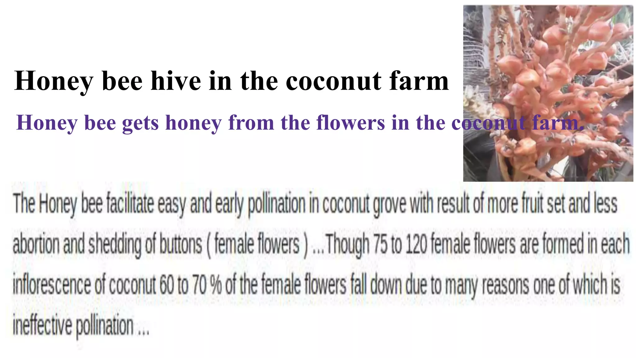 16. advantages of integrated farming | PPT