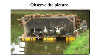 16. advantages of integrated farming | PPT