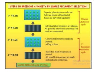 16.Recurrent selection | PPTX
