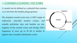 16. A. RECOMBINANT DNA.pptx