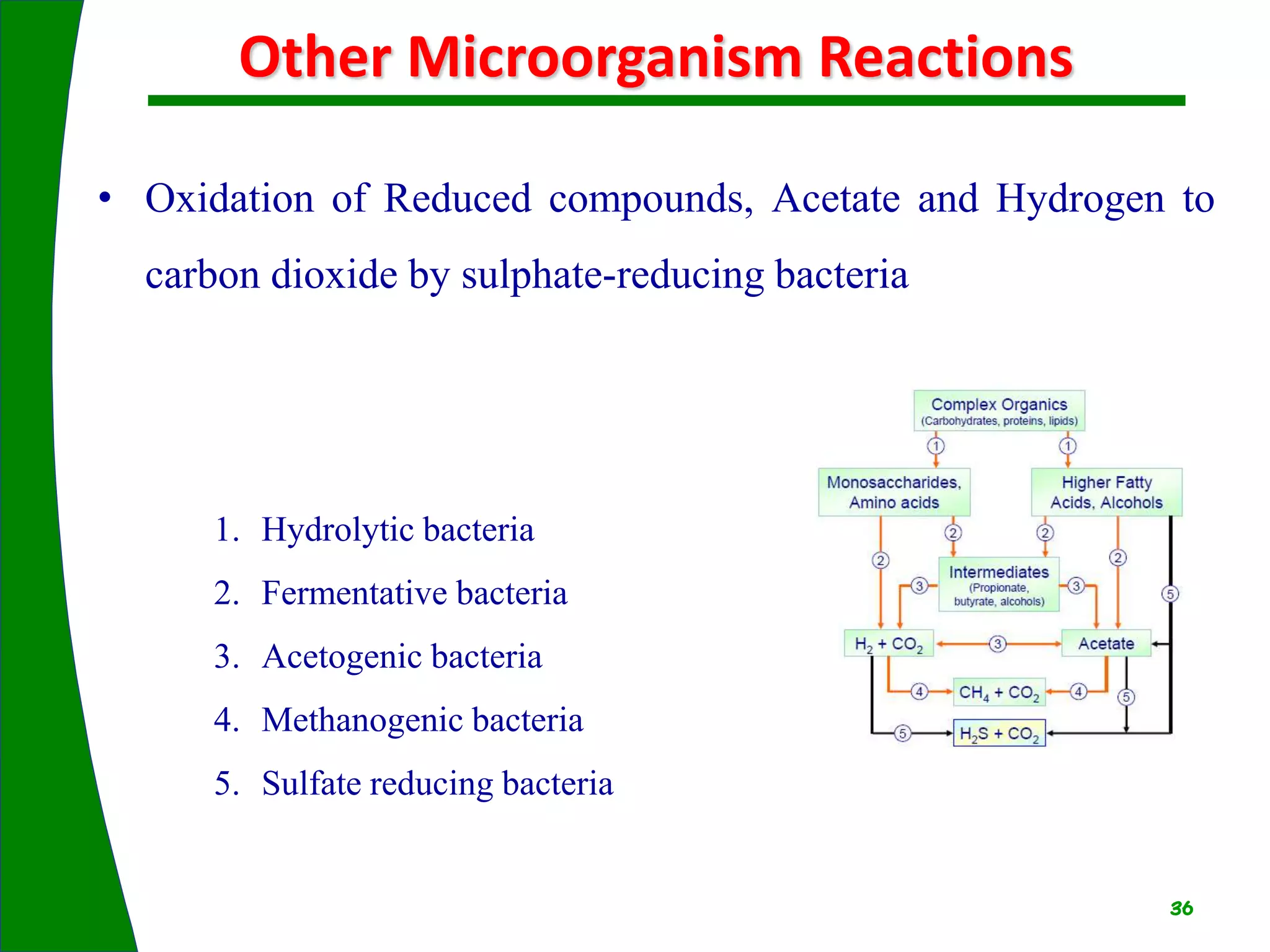 16. MICROBIOLOGY AND BIOCHEMISTRY OF BIOGAS PRODUCTION.ppt