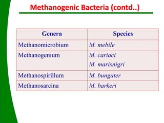 16. MICROBIOLOGY AND BIOCHEMISTRY OF BIOGAS PRODUCTION.ppt