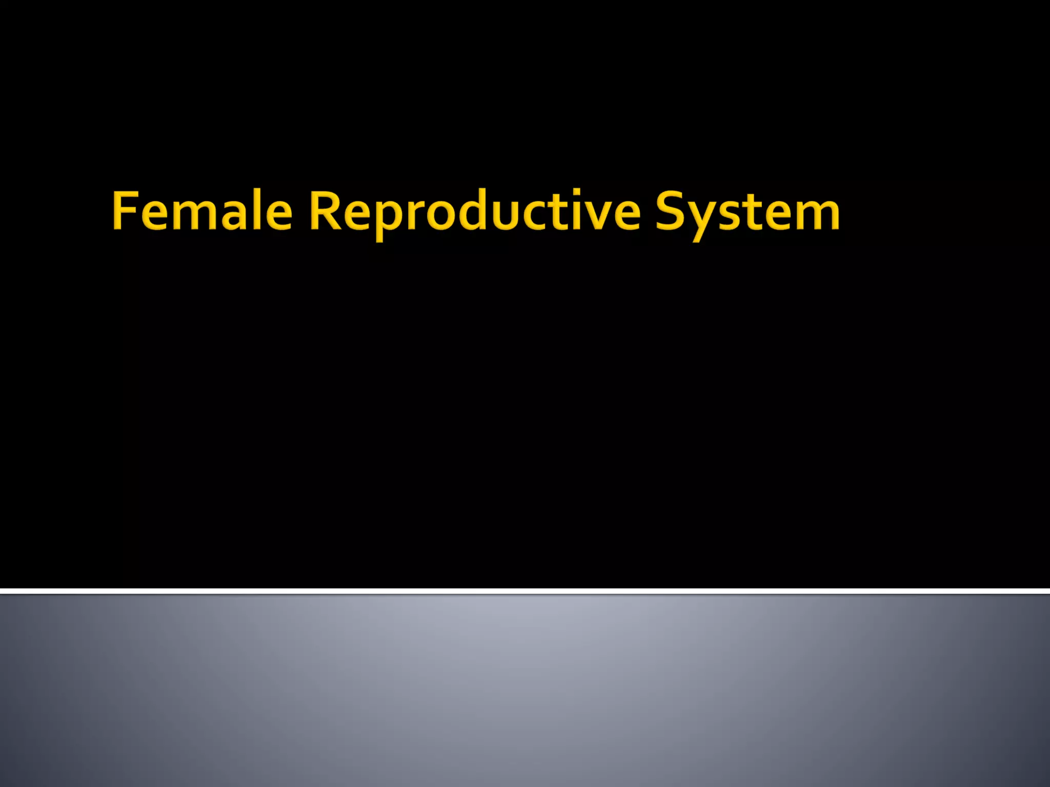 16. Female Reproductive System.pdf
