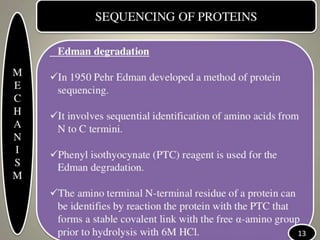 16. Protein sequencing (Biochemistry) | PPT