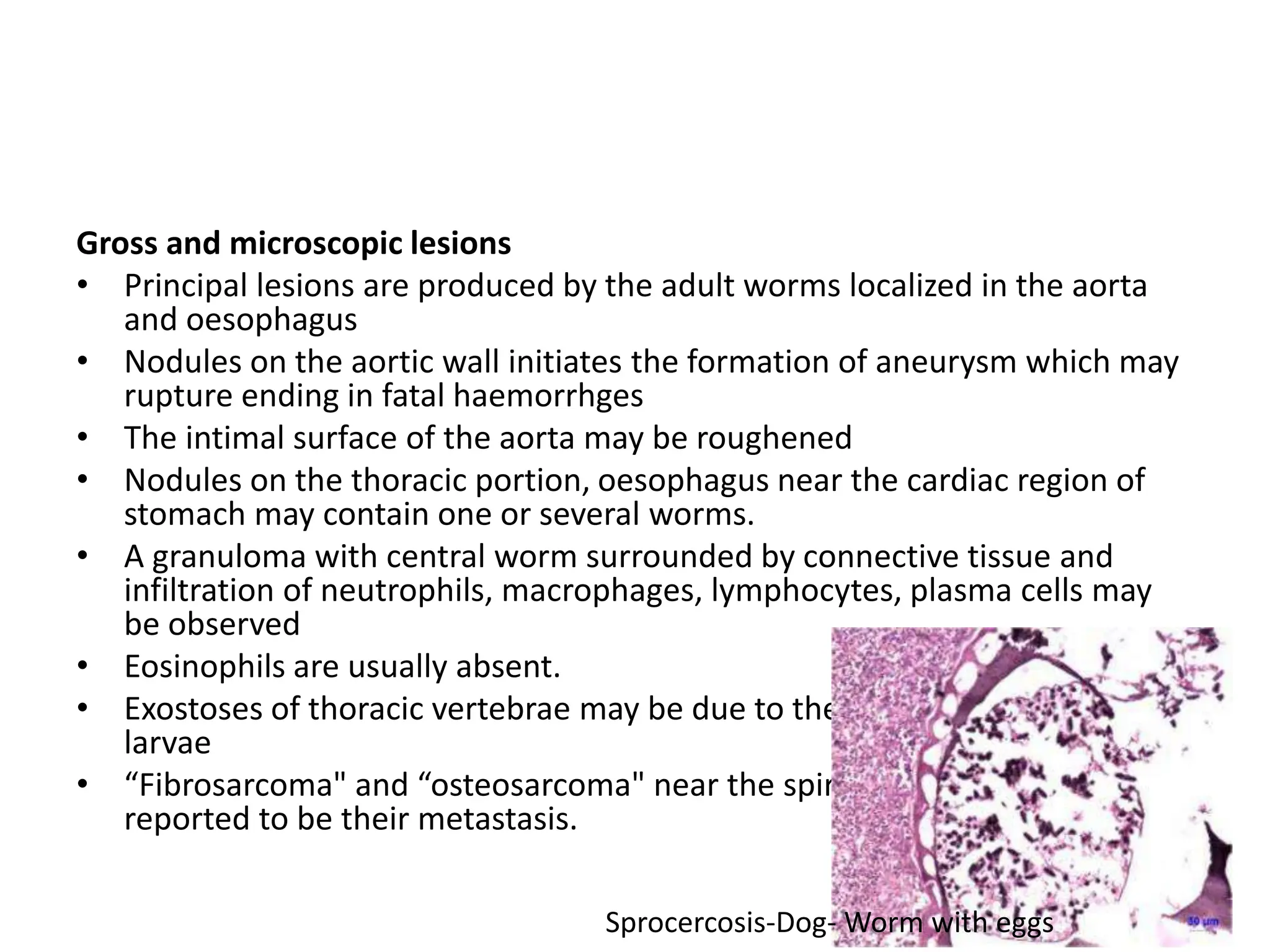 16. Gen Path of Helminthic and Protozoal Infections -II .pptx