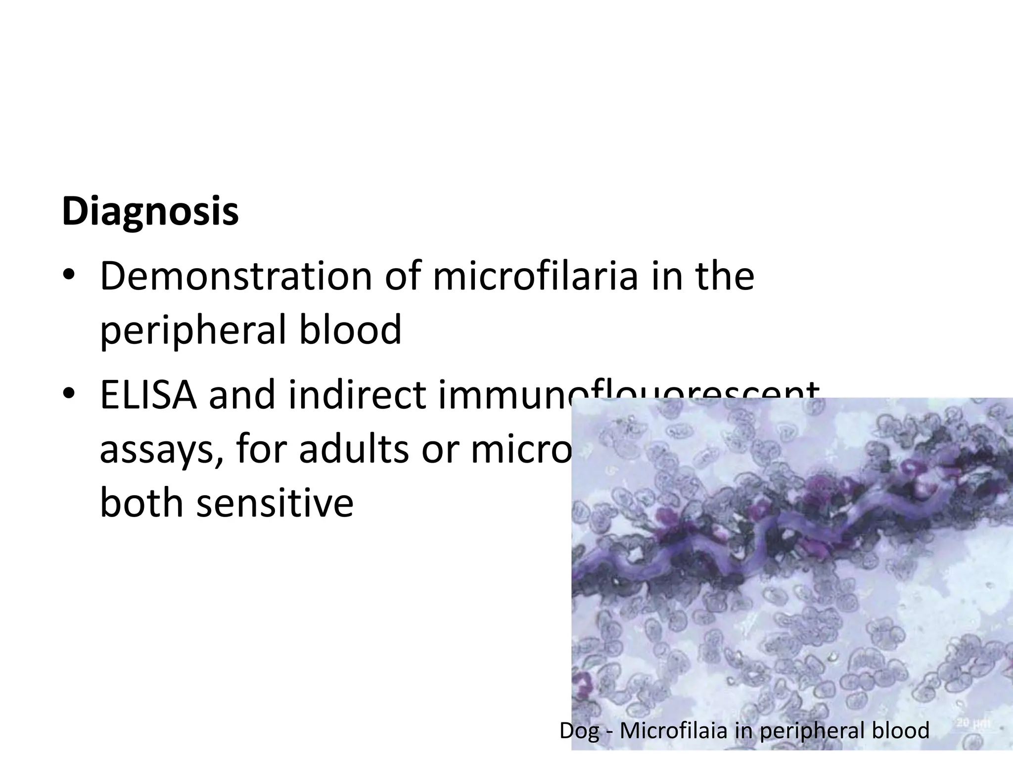 16. Gen Path of Helminthic and Protozoal Infections -II .pptx