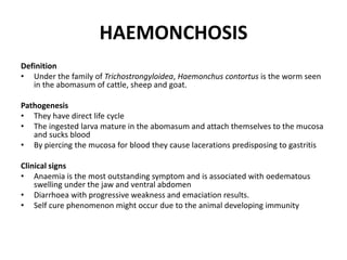 16. Gen Path of Helminthic and Protozoal Infections -II .pptx