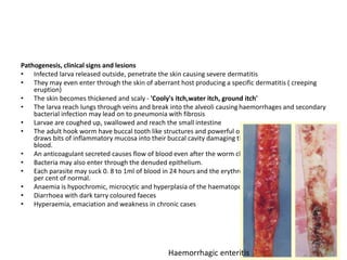 16. Gen Path of Helminthic and Protozoal Infections -II .pptx