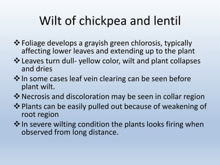 16.fusarium wilt of cotton lantril det.pdf