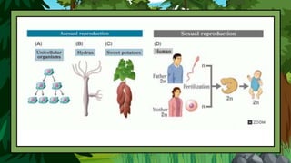 Grade 7- Science Subject (Asexual and sexual reproduction) | PPTX