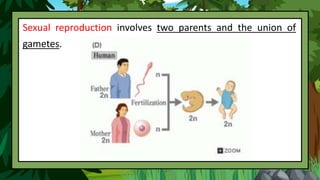 Grade 7- Science Subject (Asexual and sexual reproduction) | PPTX