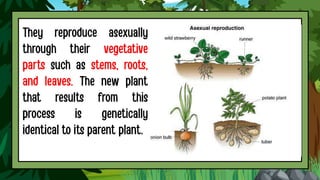 Grade 7- Science Subject (Asexual and sexual reproduction) | PPTX