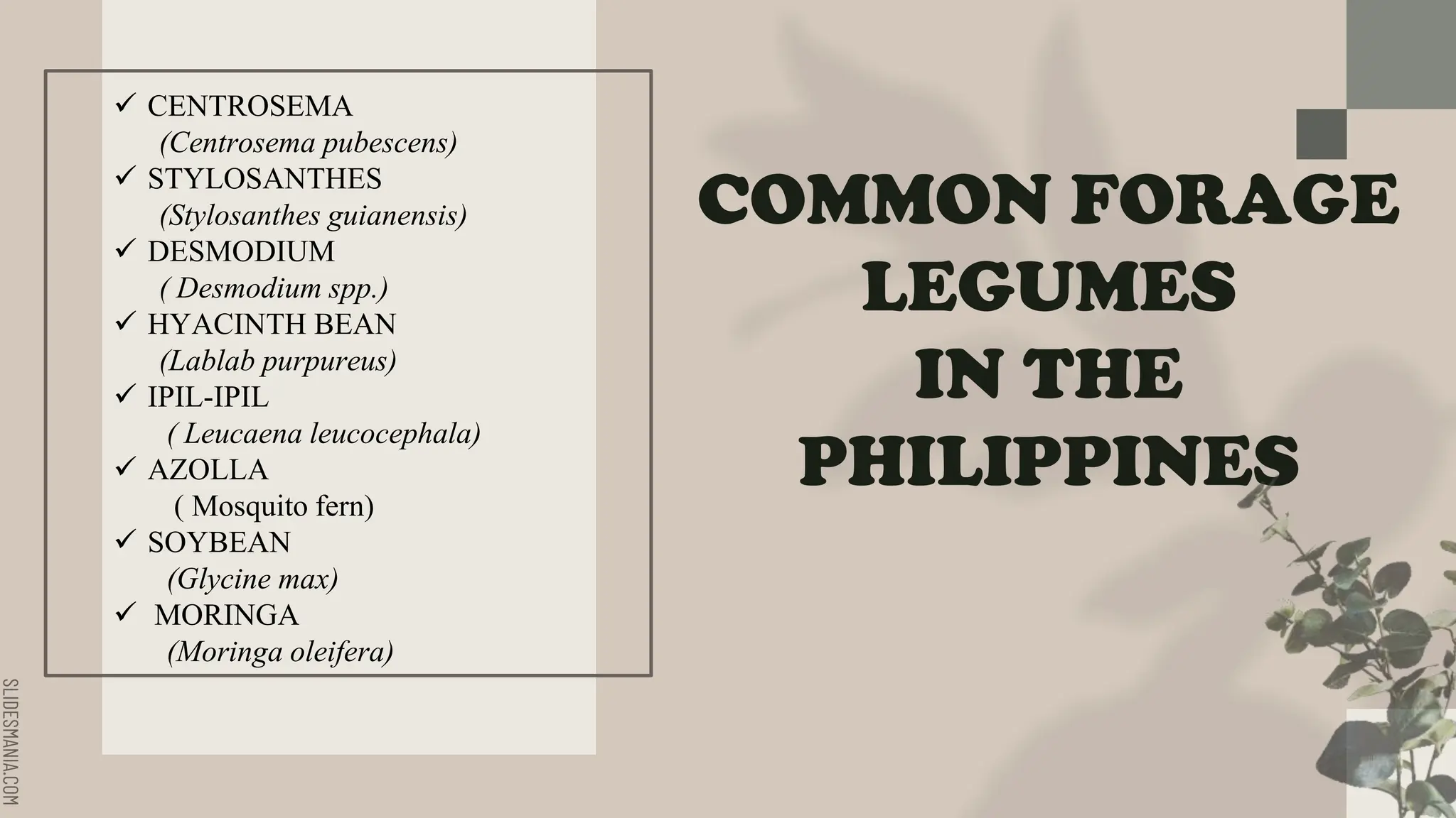 16. forage-crop-original-1.pptx......... | PPTX