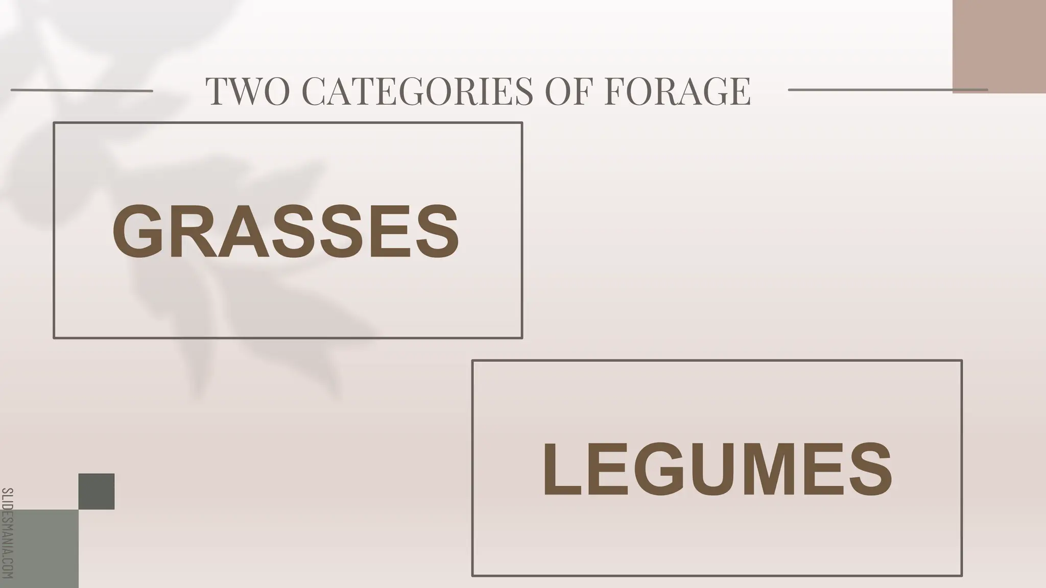 16. forage-crop-original-1.pptx......... | PPTX