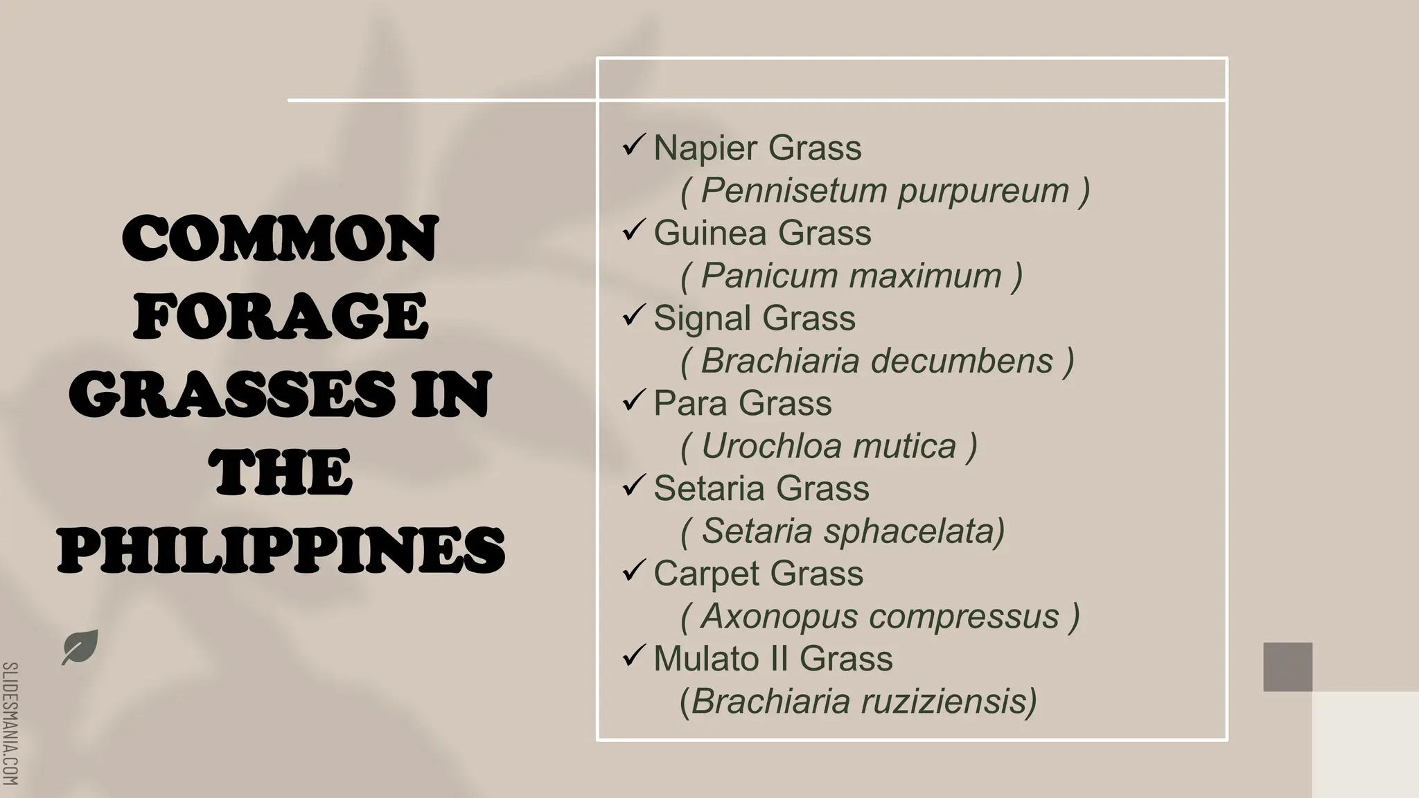 16. forage-crop-original-1.pptx......... | PPTX
