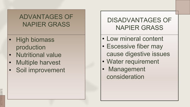 16. forage-crop-original-1.pptx......... | PPTX | Gardening | Home & Garden