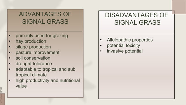 16. forage-crop-original-1.pptx......... | PPTX | Gardening | Home & Garden