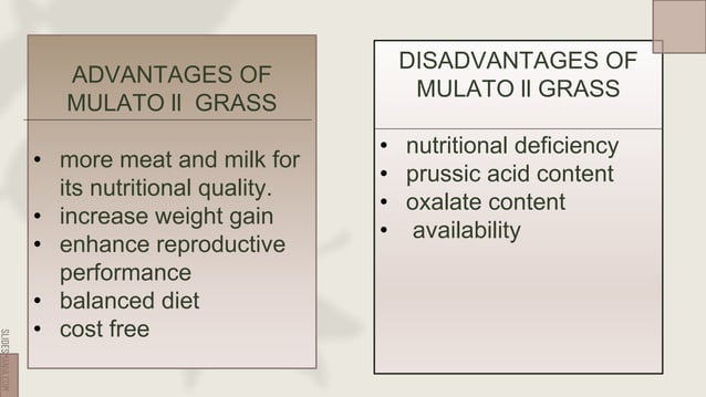 16. forage-crop-original-1.pptx......... | PPTX | Gardening | Home & Garden