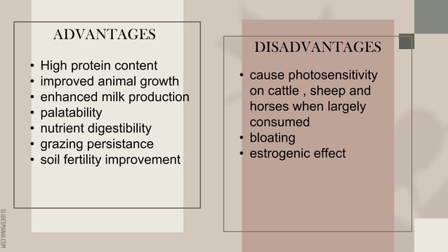 16. forage-crop-original-1.pptx......... | PPTX | Gardening | Home & Garden